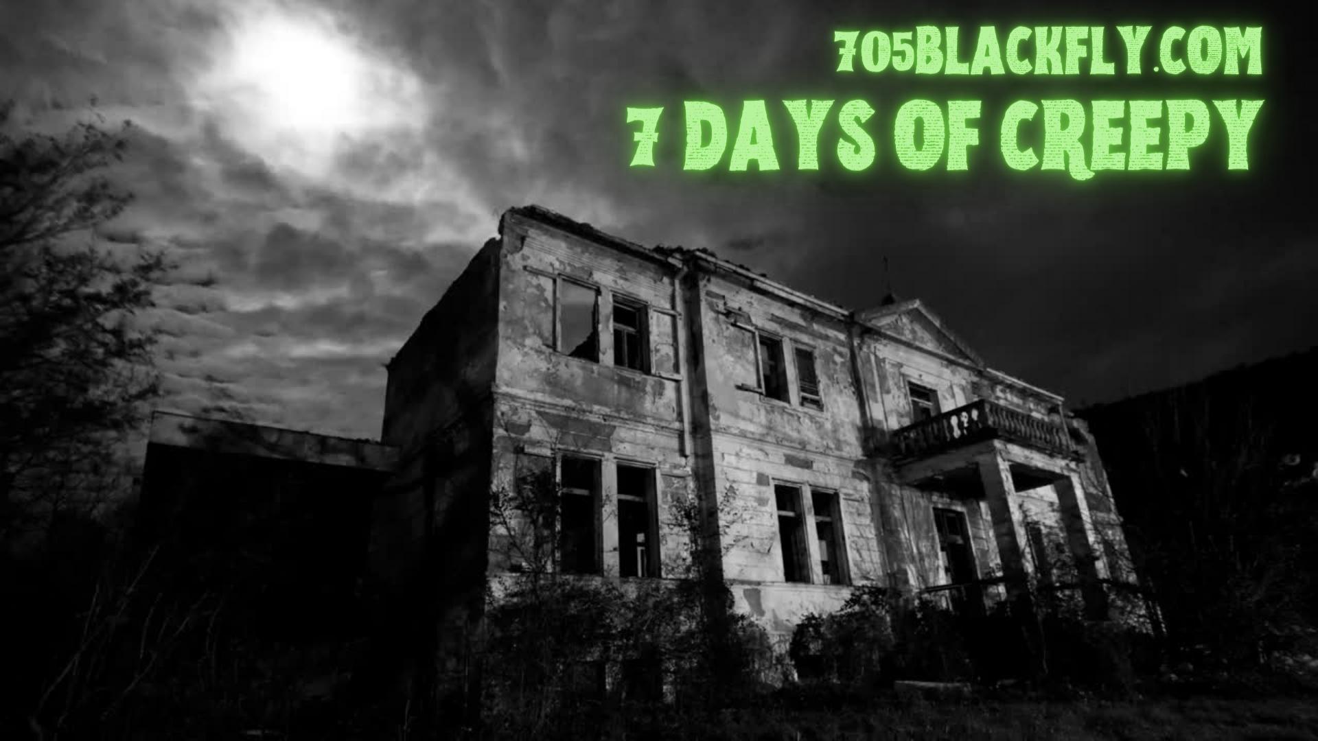 7 Days Of Creepy Part 2 | 705 Black Fly