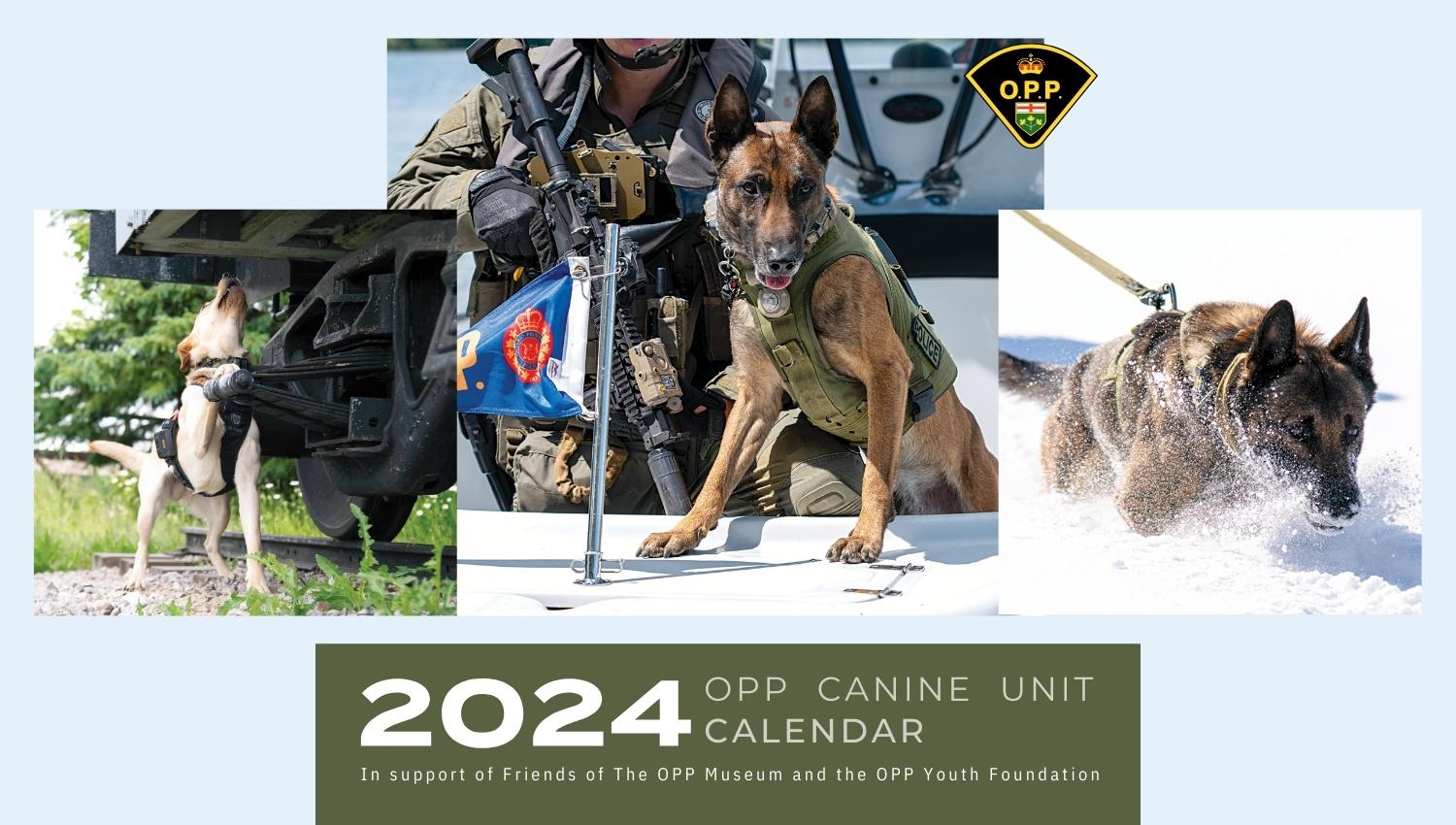OPP 2024 Canine Calendar On Sale | Featured | 705 Black Fly