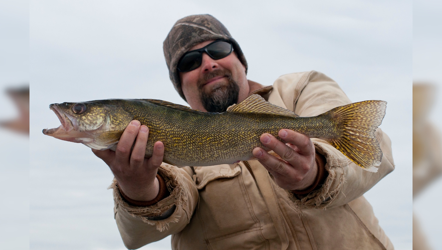 Ontario Boosting Fish Populations With $75 Million Investment ...