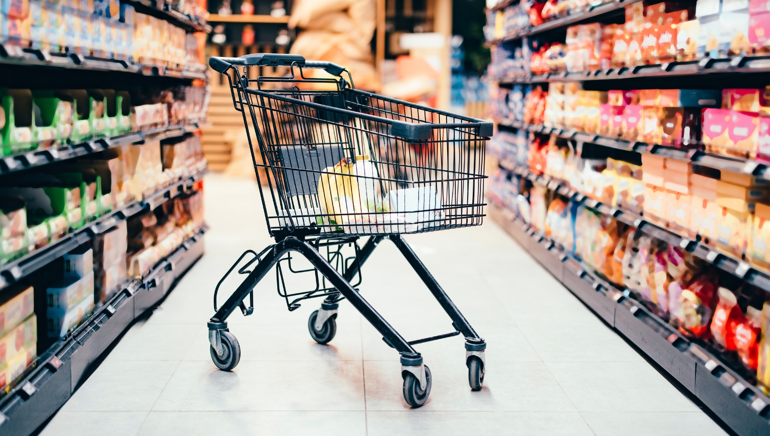 North Bay Police Targeting Stolen Shopping Carts | Featured | 705 Black Fly