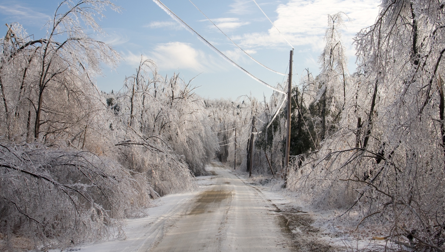 Ontario Supporting Spring Ice Storm Recovery | Featured | 705 Black Fly